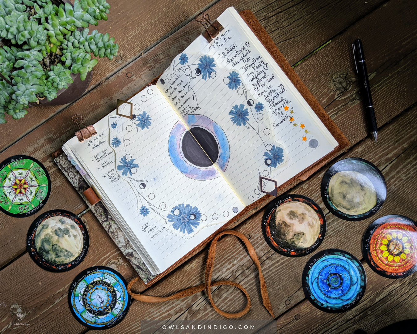 6th Moon Monthly Goals Plan With Me | Lunar Goal Setting – Owls&Indigo