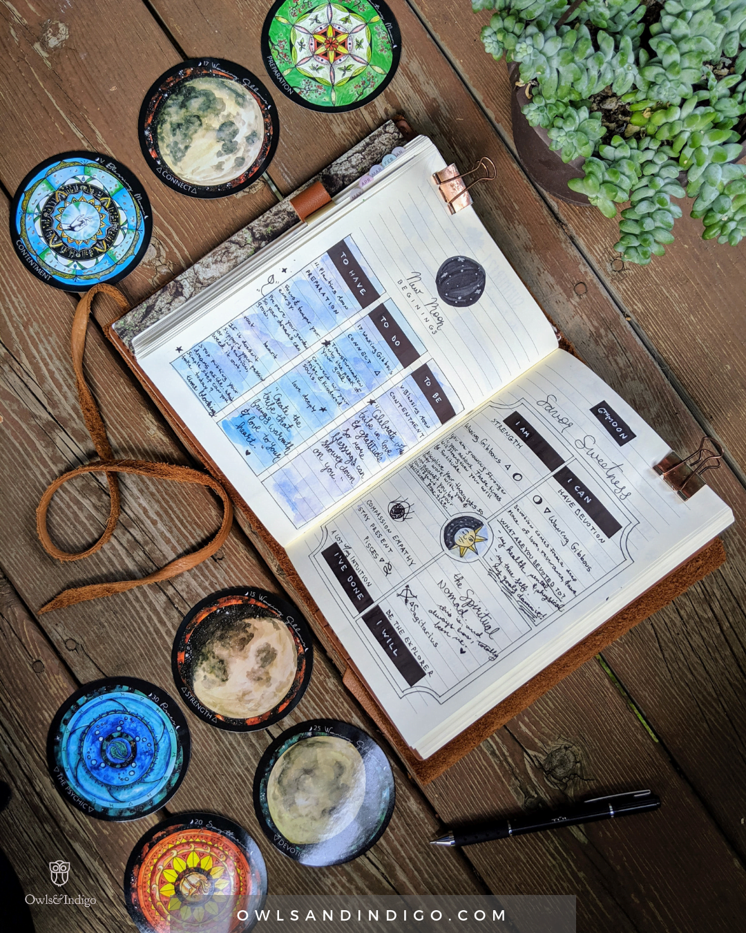 6th Moon Monthly Goals Plan With Me | Lunar Goal Setting - Owls&Indigo