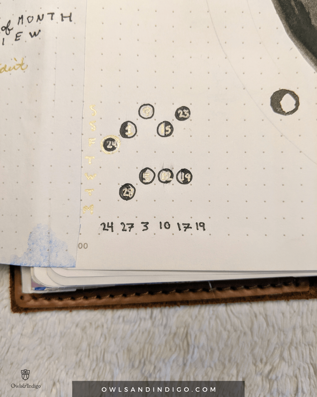 1st New Moon Monthly Goal Setting | Goal Setting via the Moon – Owls&Indigo